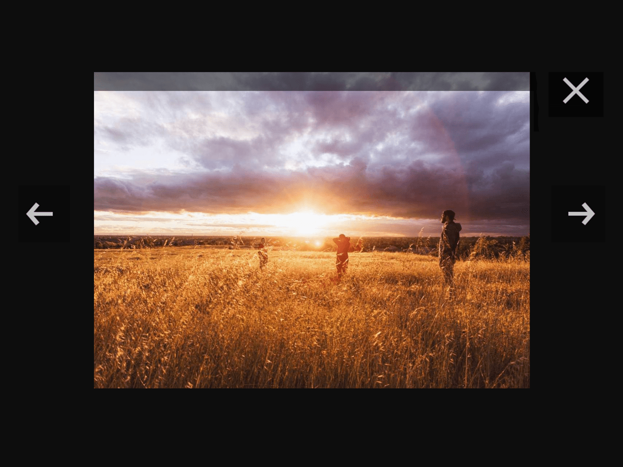 JavaScript Image Gallery With Thumbnails and Control Buttons