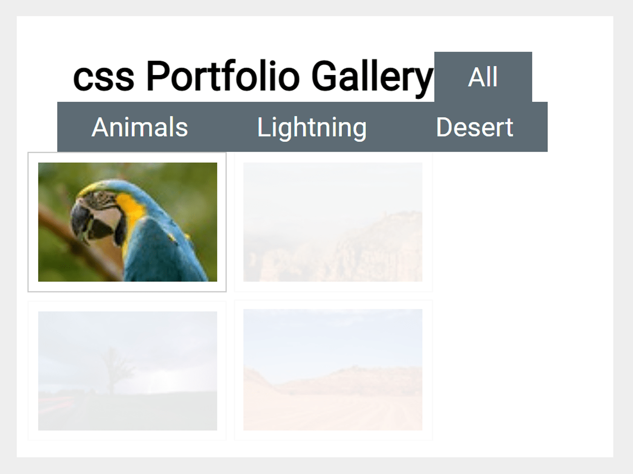 Javascript Image Gallery With Thumbnails And Control Buttons