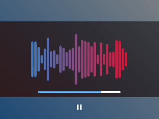 JavaScript Audio Player With Visualization — CodePel