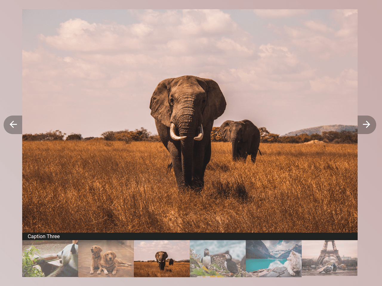 Javascript Code For Image Slider With Thumbnails — CodePel