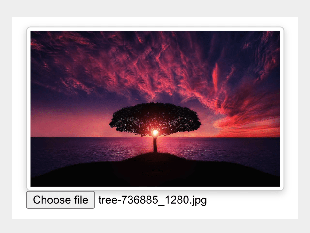 Preview Image Before Upload in JavaScript — CodePel