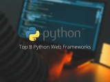 Top 8 Python Web Frameworks