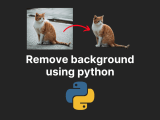 How To Remove Background From Image Using Python