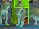 Real Time Object Detection Using Tensorflow In Python Codespeedy