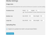 Settings Wordpress Tutorial Codetab