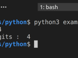 3 Ways In Python To Count The Number Of Digits Of A Number Codevscolor