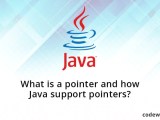 What Is A Pointer And How Java Support Pointers Code With C