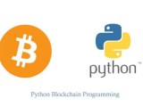 Using Blockchain Api In Python Programming Code With C