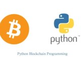 Using Blockchain Api In Python Programming Code With C