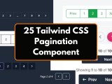 Pagination Html