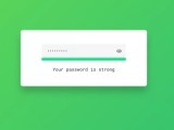 Password Strength Checker In Css Javascript