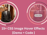 Image Hover Zoom Effect In Css Codepen Infoupdate Org