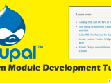 Drupal Custom Module Create Database Table During Installation