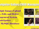Codeigniter Upload File To Remote Server Codexworld