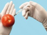 Los 10 Alimentos Más Adulterados Del Mundo
