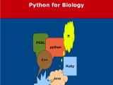 Python For Biology