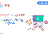 Basic Java Program How To Reverse A String In Java Codingbroz