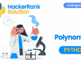 Polynomials In Python Hackerrank Solution Codingbroz