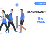 The Pads In Sql Hackerrank Solution Codingbroz