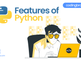 Features Of Python Codingbroz