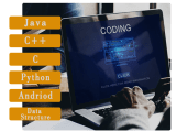 Best Programming Courses Computer Courses Institute In Rohini Delhi