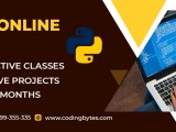 Best Institute For Online Python Course In Rohini Delhi Coding Bytes