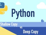 Shallow Copy Vs Deep Copy In Python Codingem
