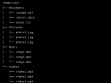 Python How To Delete A Non Empty Folder Codingem