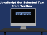 Javascript How To Get Selected Text From A Textbox
