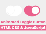 Create Toggle Button In Html Css Javascript