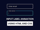 Input Label Animation In Html Css
