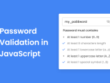 Password Validation Check In Html Css Javascript