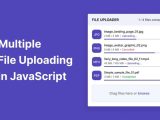 Multiple File Uploading With Progress Bar In Html Css And Javascript