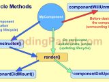 React Component Api Learn Coding Online Codingpanel