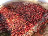 Washed Processing Method Precision Coffee Roaster