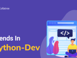 Trends In Python Development Collatree