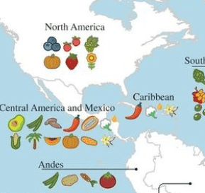Map of Plant Domestication | CollectEdNY