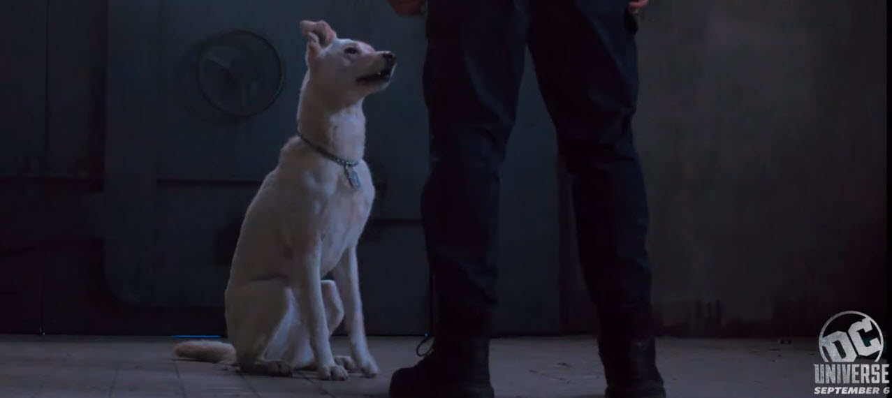 Bruce Wayne, Deathstroke, more in TITANS season 2 trailer - The Beat