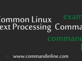 Common Linux Text Processing Commands Command In Line
