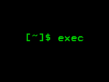Bash Exec Builtin Command