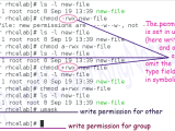 How To Use Chmod Command In Linux Explained With Examples
