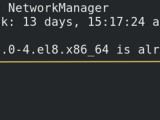 Understanding Linux Network Manager Fundamental