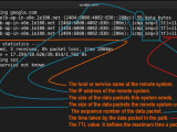 The Ping And Traceroute Or Tracert Commands
