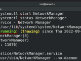 Managing Linux Networkmanager