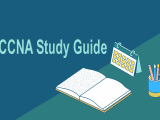 Ccna Study Guide