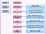 Flow Production Examples