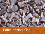 Conithe Agricultural Commodities Solid Minerals Export In Nigeria