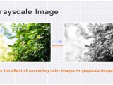Convert Images To Grayscale Online Free Fast Bulk Tool