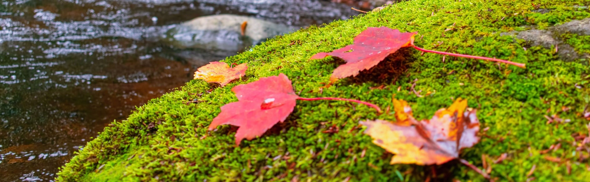 Parks - Copper Country