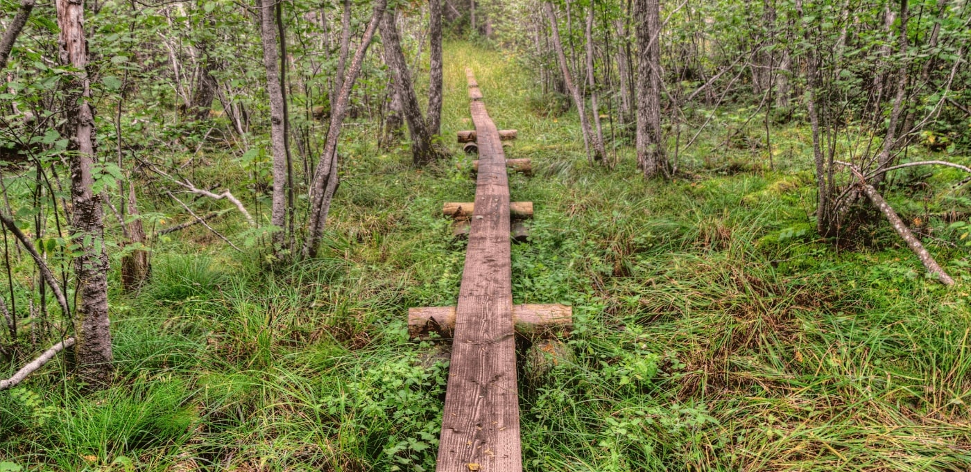 Hiking - Copper Country